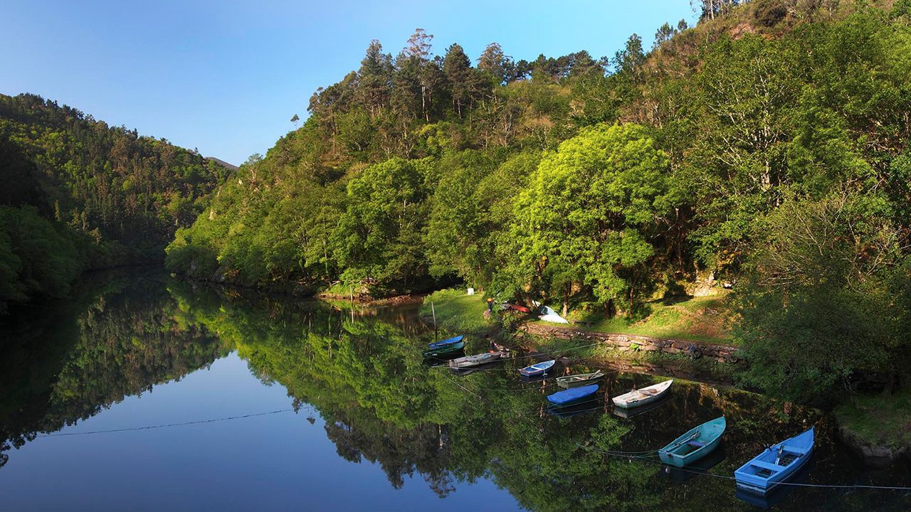 Zona Azul Boal ☆ GUIA 2025